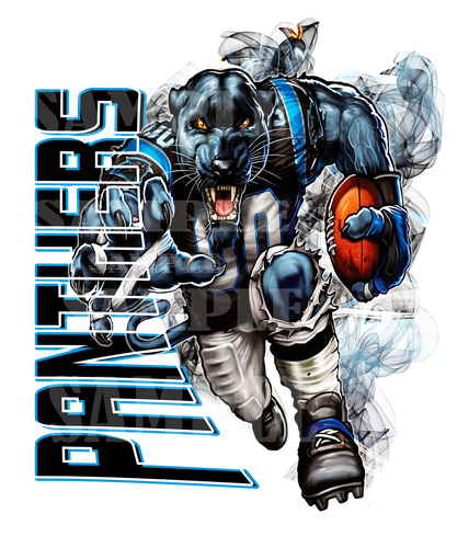 Panthers 1 (Transfer) | Truprints