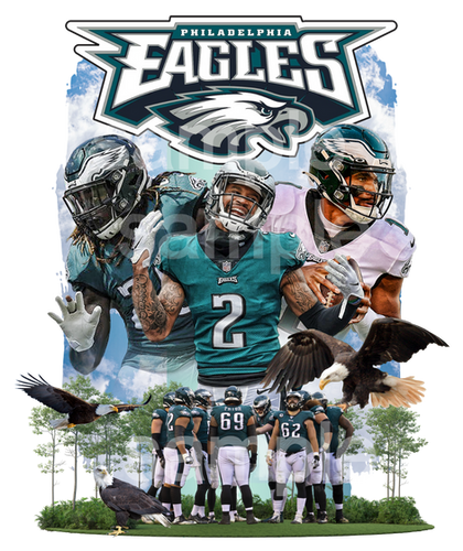 Eagles (Transfer) | Truprints