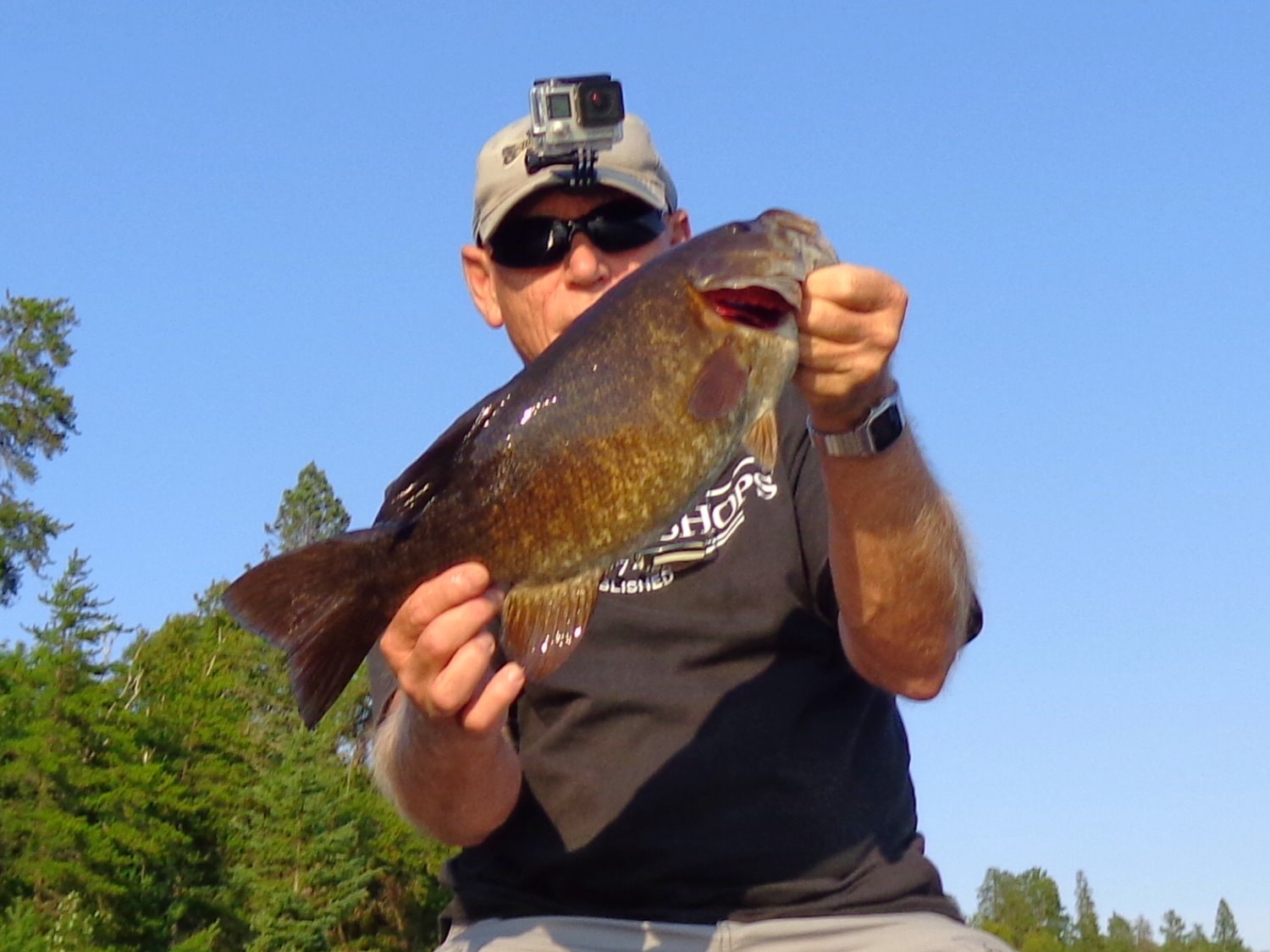 Minnesota Bass Fishing On Lake Vermilion