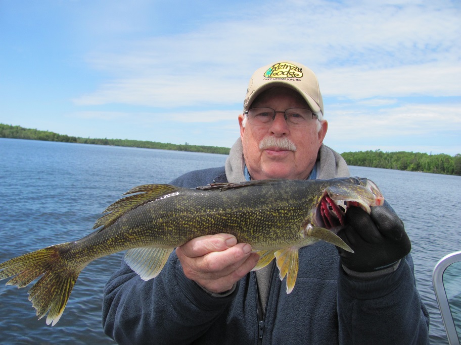 Minnesota Walleye Fishing Resort