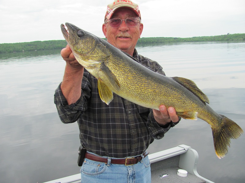 Minnesota Walleye Fishing Resort
