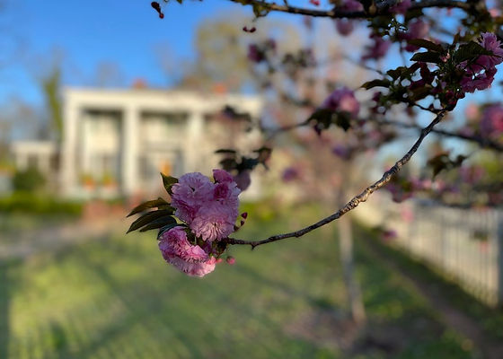 About Us Monticello GA | Blaque Butterfly At Reese Hall