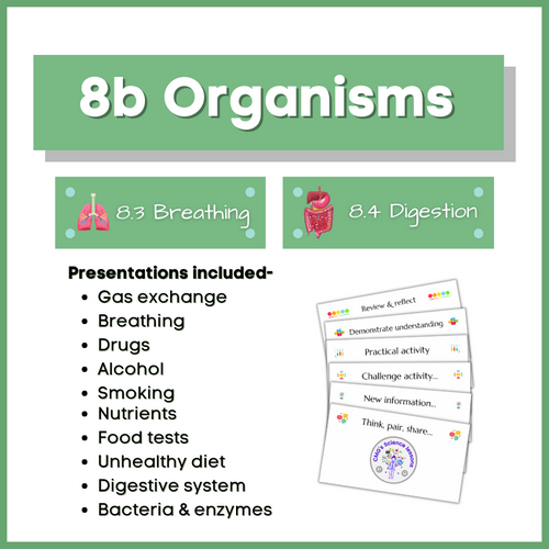 8b Breathing and Digestion Class Bundle | Cmgs Science Lessons