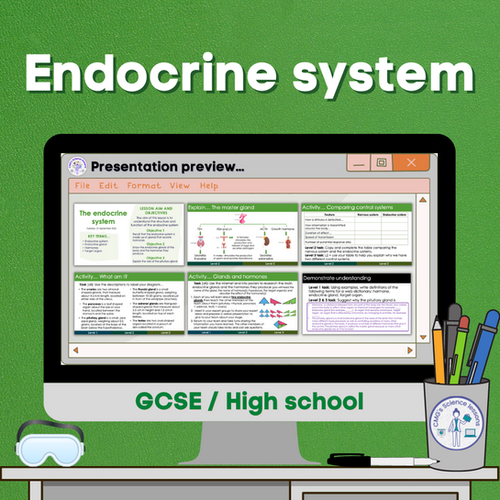 The endocrine system | Cmgs Science Lessons