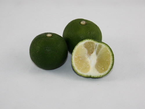 Sudachi | copy-of-cook-in-japa