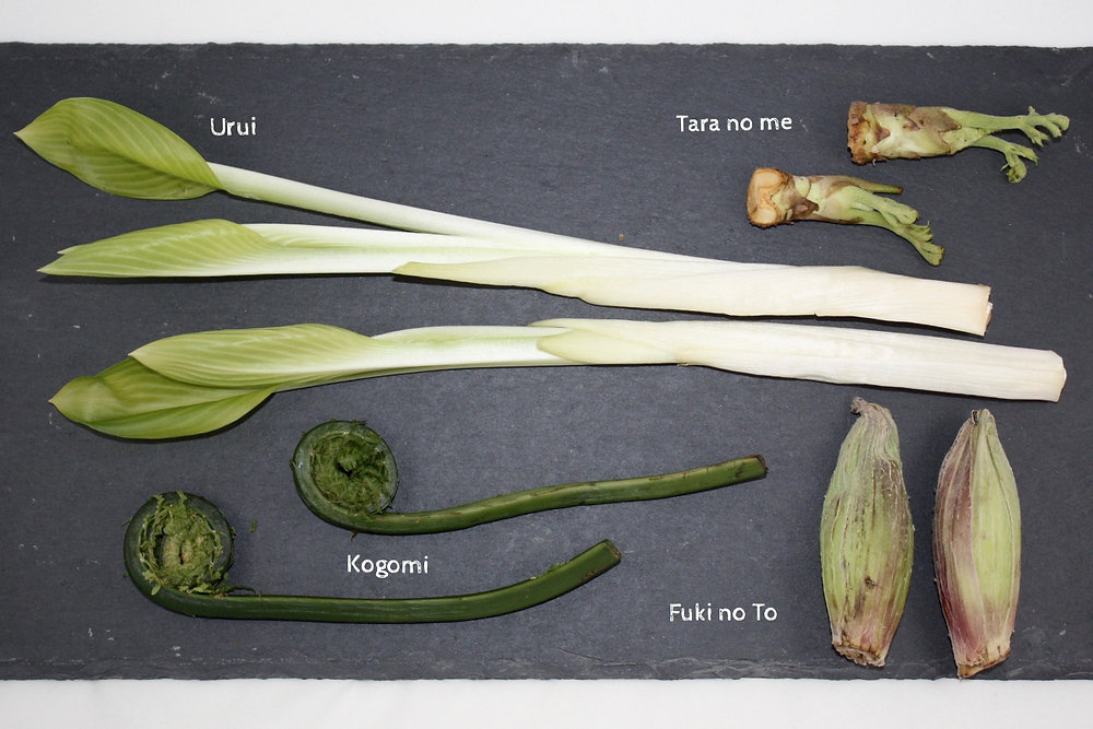 What's in season?....Spring mountain vegetables!