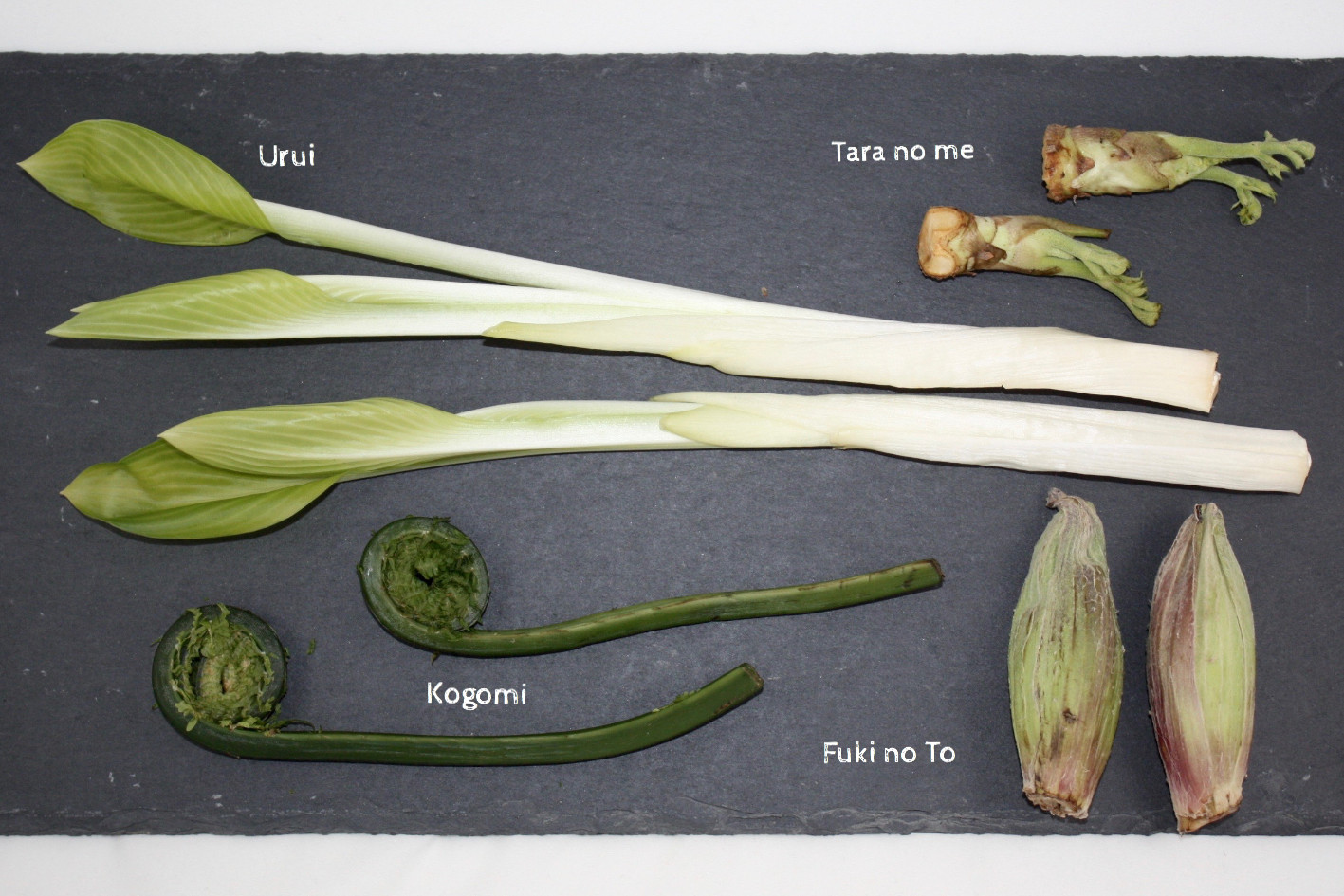 Japanese Mountain Vegetables