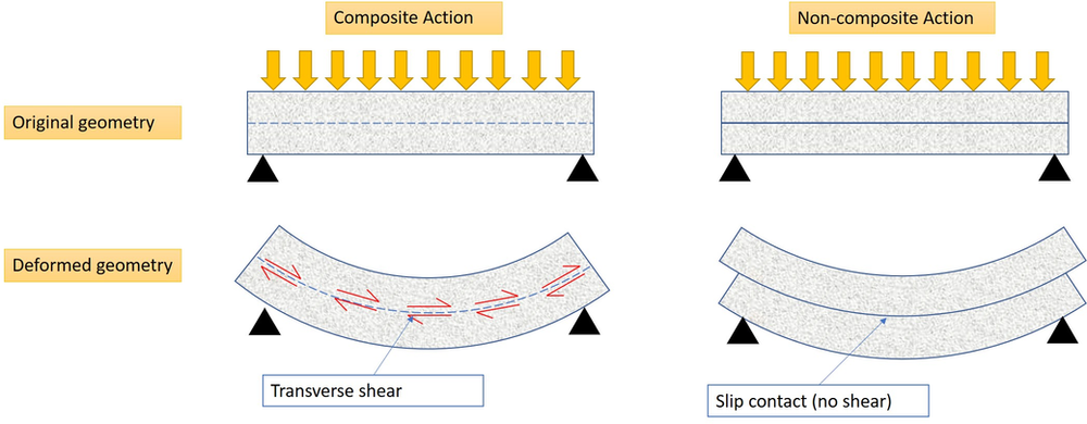 Shear (1) - Transverse shear and composite action