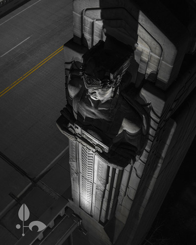 Guardian Portrait w/Yellow Color Pop - Drone | Explored Perspective