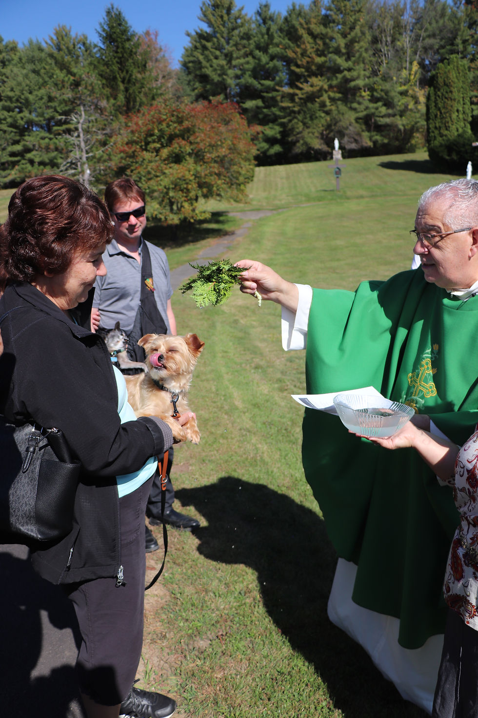 Looking Back at 2025 | Website