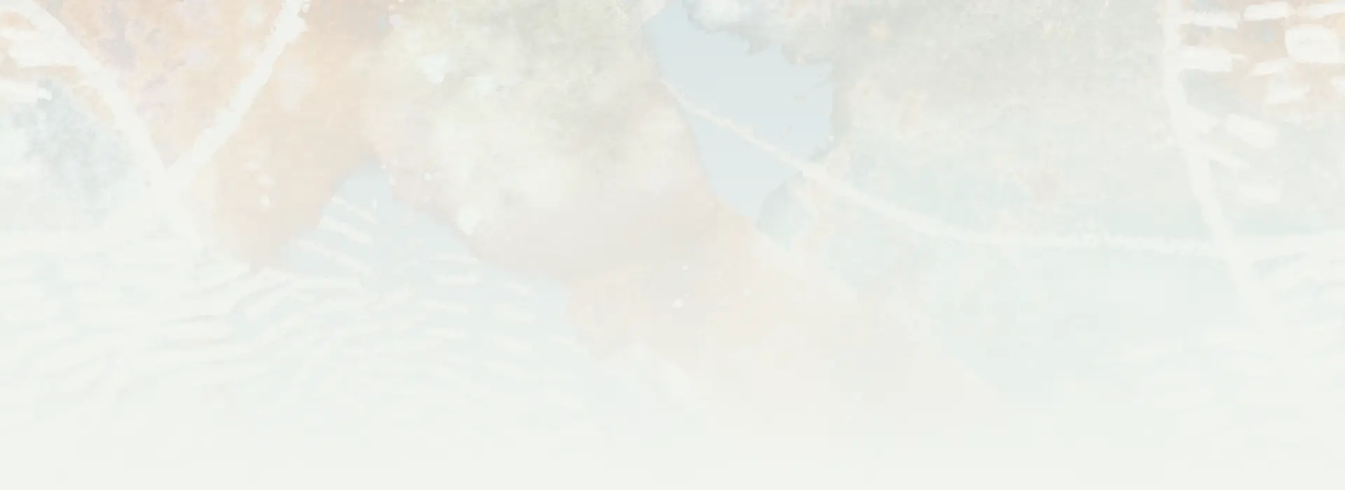 Baidam - creating career pathways for Indigenous youth