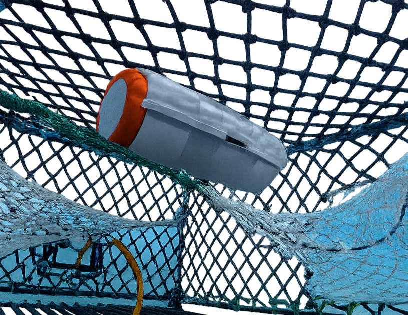 Lobster Fishing Bait System | Bait Saviour