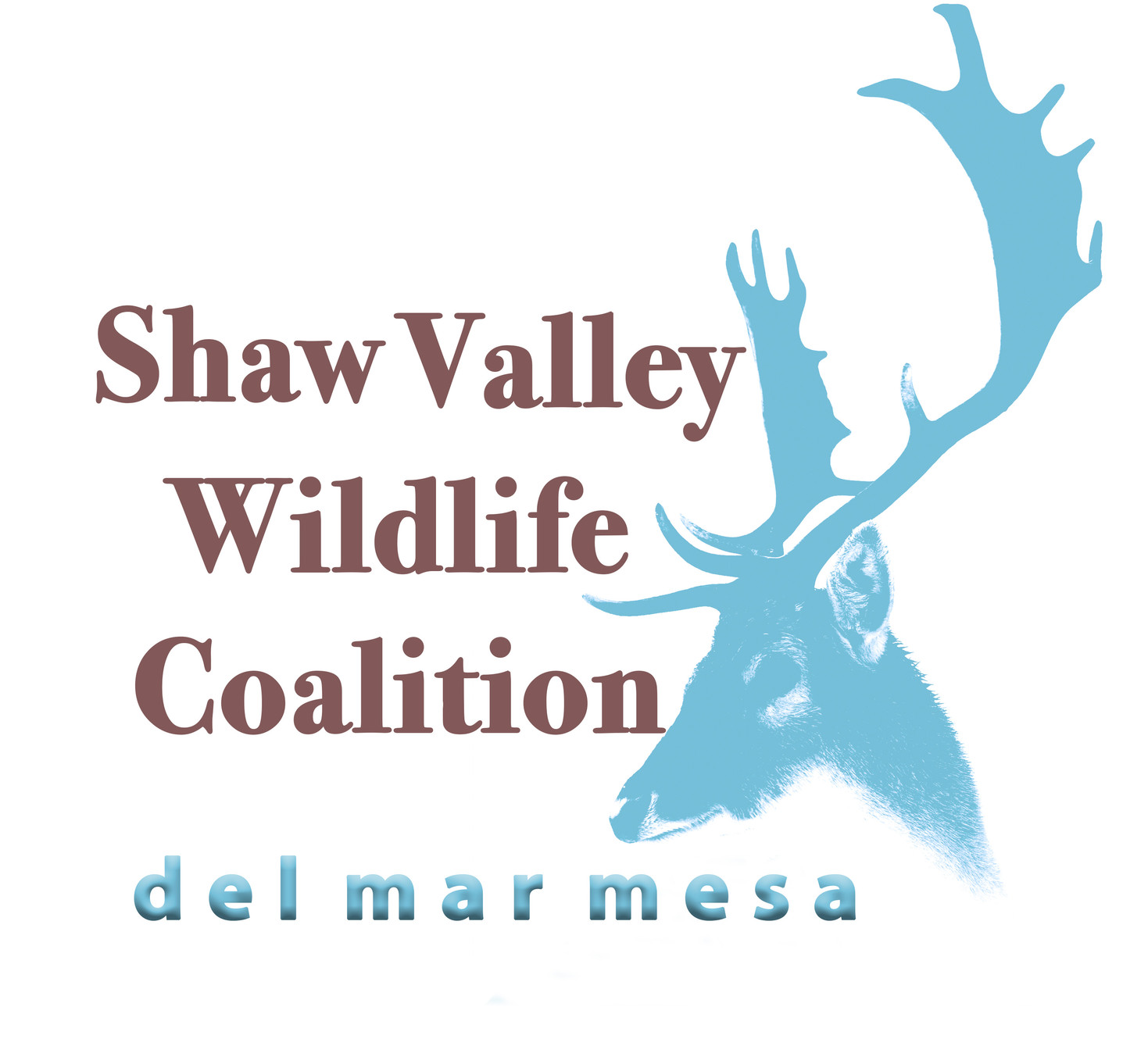 SHAW VALLEY | ShawValley