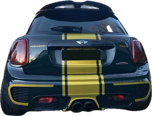 20" Dual Rally Racing Stripes s Design For Mini Countryman Cooper ...