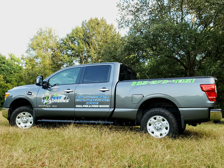 Pest Control Company Near Me | DC Pest Solutions LLC