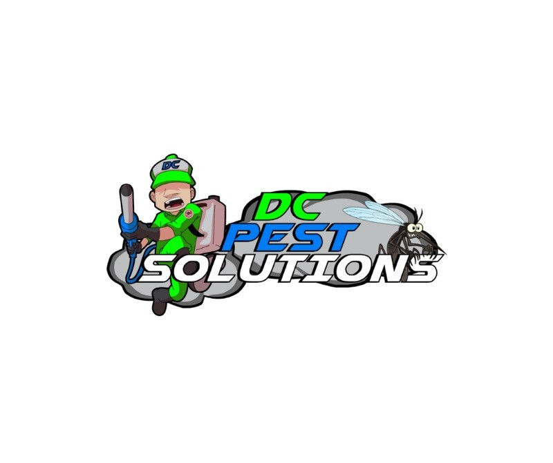 Pest Control Company Near Me | DC Pest Solutions LLC
