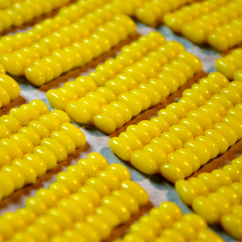 Corn Nibble Silicone Mold | Chicago Culinary FX