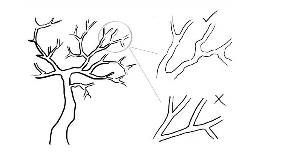 How to Draw Trees: It's All About Shapes!