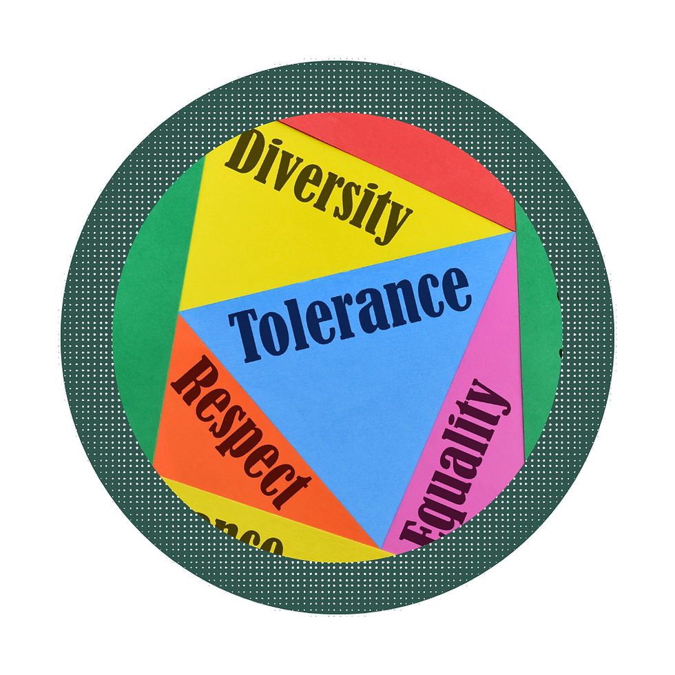 Tolerance and Respect | Successful Solutions