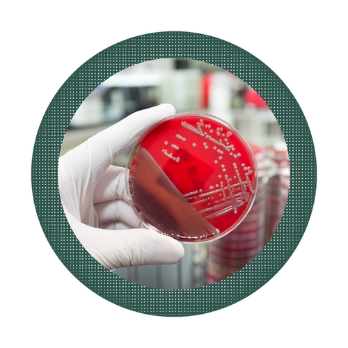 Bloodborne Pathogens Awareness | Successful Solutions