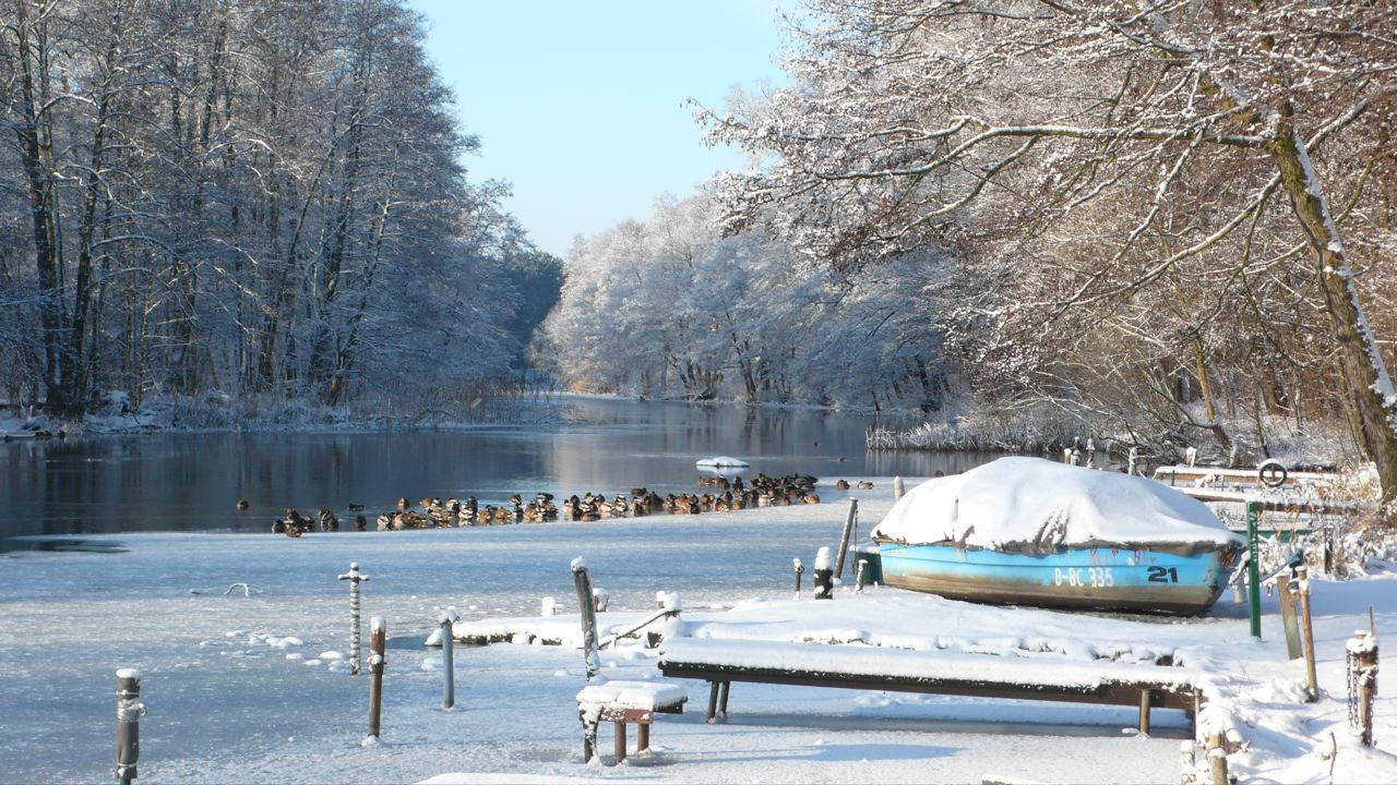 Bilder | Spreeferien