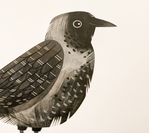 Jackdaw - Limited Edition Art Print | Brendan Draws