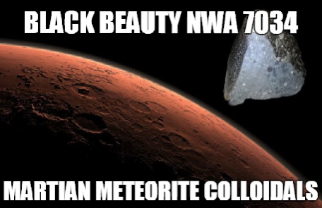 Black Beauty NWA 7043 Martian Meteorite Colloidals | Eck Tech