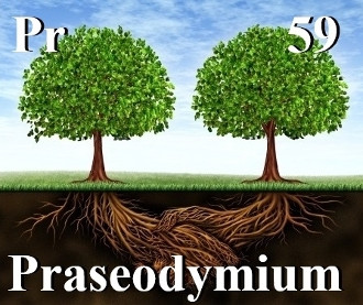 Colloidal Praseodymium | Eck Tech