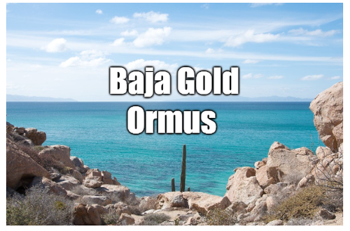 Baja Gold Ormus | Eck Tech