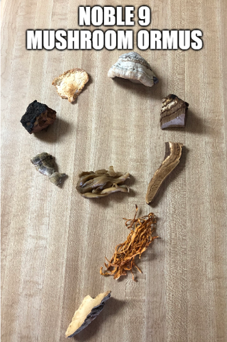 Noble 9 Mushroom Ormus Powder | Eck Tech