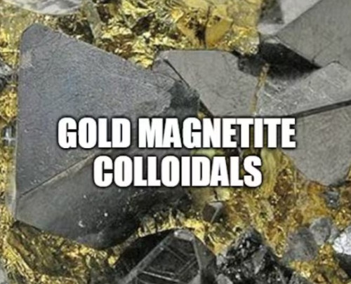 Gold Magnetite Colloidals | Eck Tech
