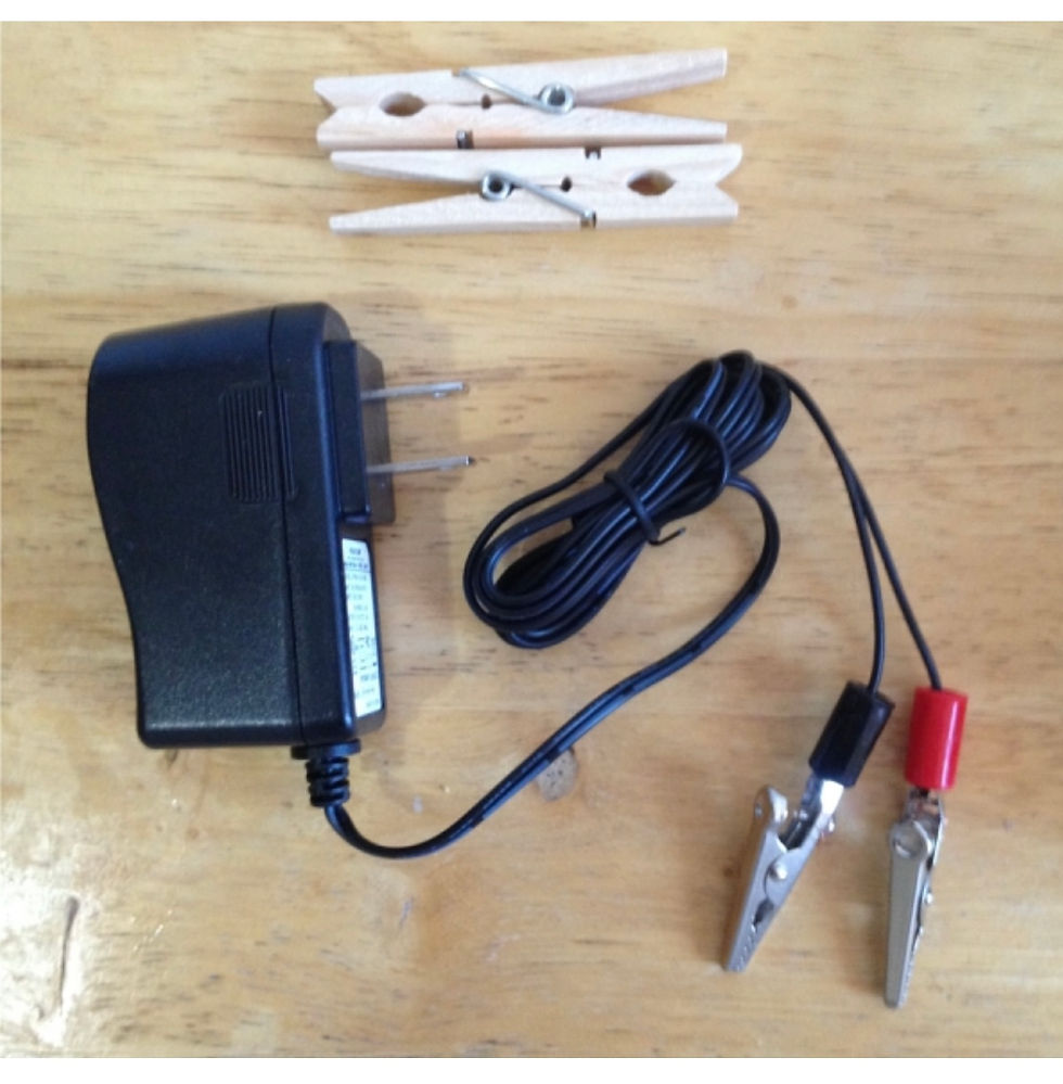 12v DIY Colloidal Generator | Eck Tech