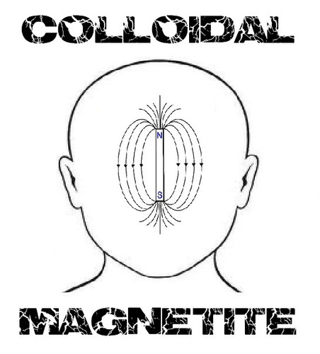 Magnetite Colloidals | Eck Tech