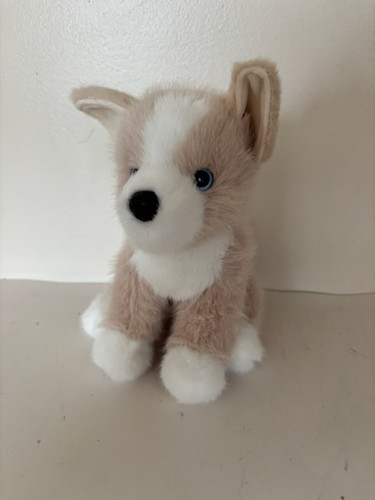 Douglas Pookie Pomsky Plush UPC #767548160220 | Hobby House Toys