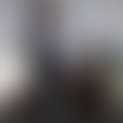 Blog | Spring Lane Ranch | United States