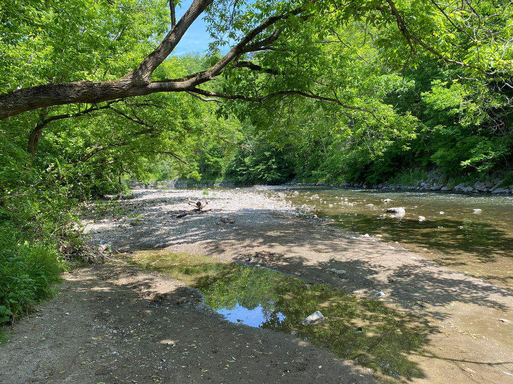 Highland Creek, the overlooked river!
