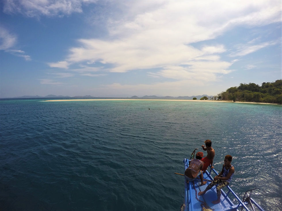 Expedition Palawan by Lagum Adventure, All the Things you need to know ...