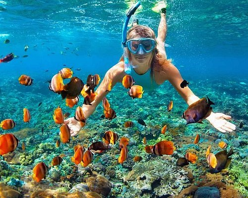 Top 8 Activities To Do in Cebu, Your Guide to Cebu Activities and Rates.