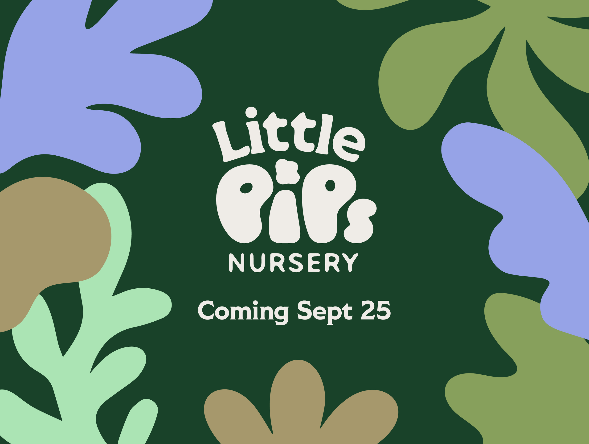 Leading Early Years Education | Little Pips Nursery, Pocklington