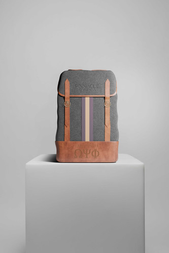 Omega Backpack | The Pinnacle Collective