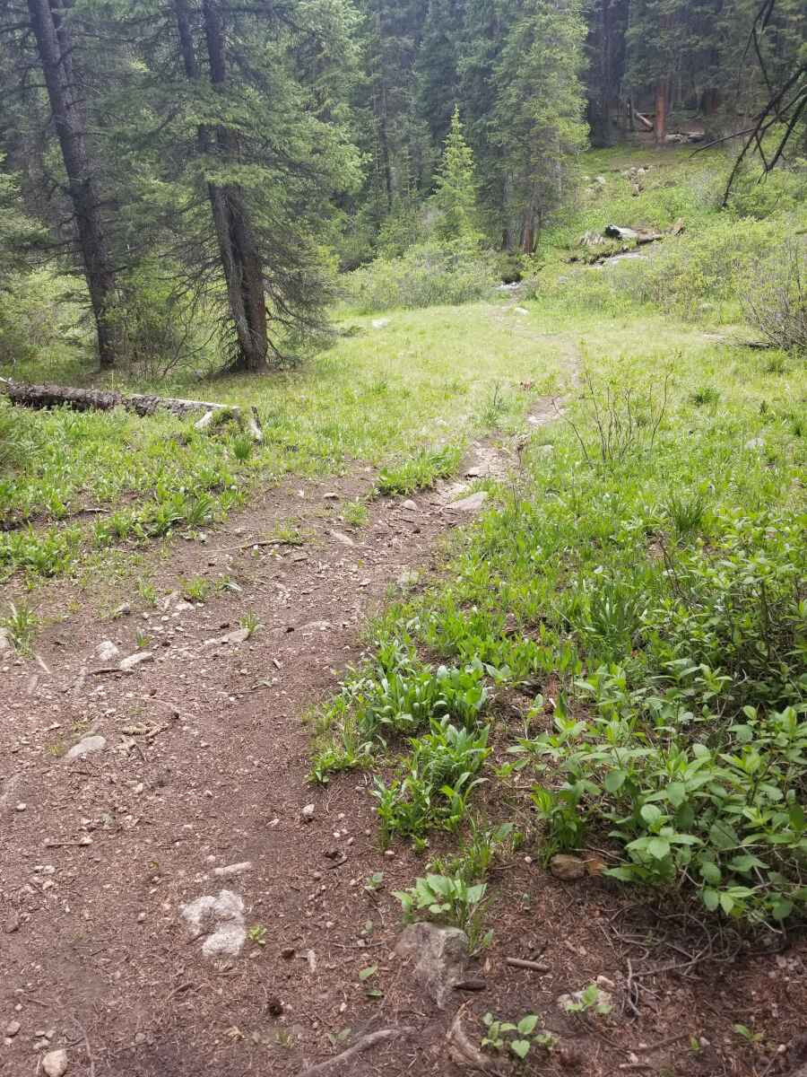 Herman Gulch Trail