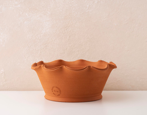 Terracotta Shallow Scalloped Pot by Willow Pottery | shellonearth