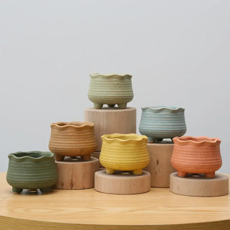 Wavy Edge Succulent Pots | shellonearth