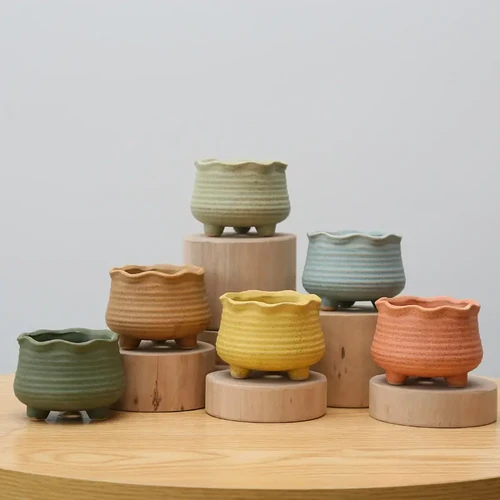 Wavy Edge Succulent Pots | shellonearth