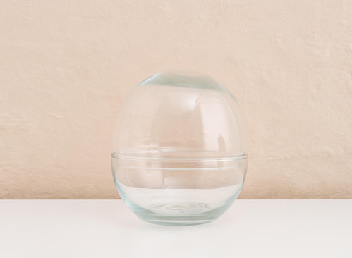 Glass Biodome Terrarium | shellonearth