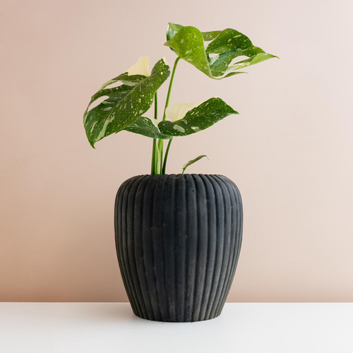 'Irma' Patinated Plant Pot- For Indoor/ Outdoor Use | shellonearth