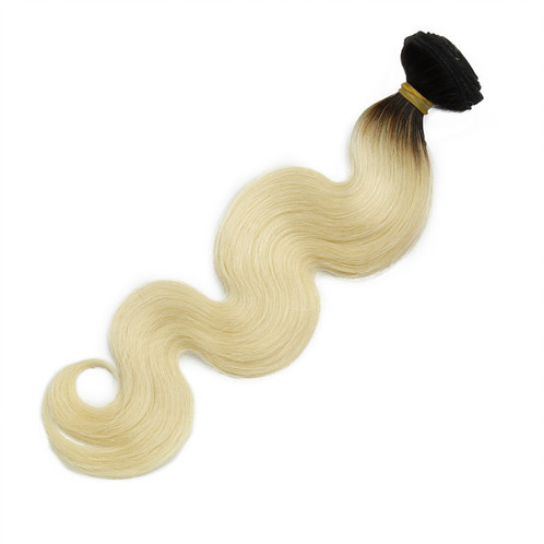 Dark Root Blonde Bundle (1b/#613)
