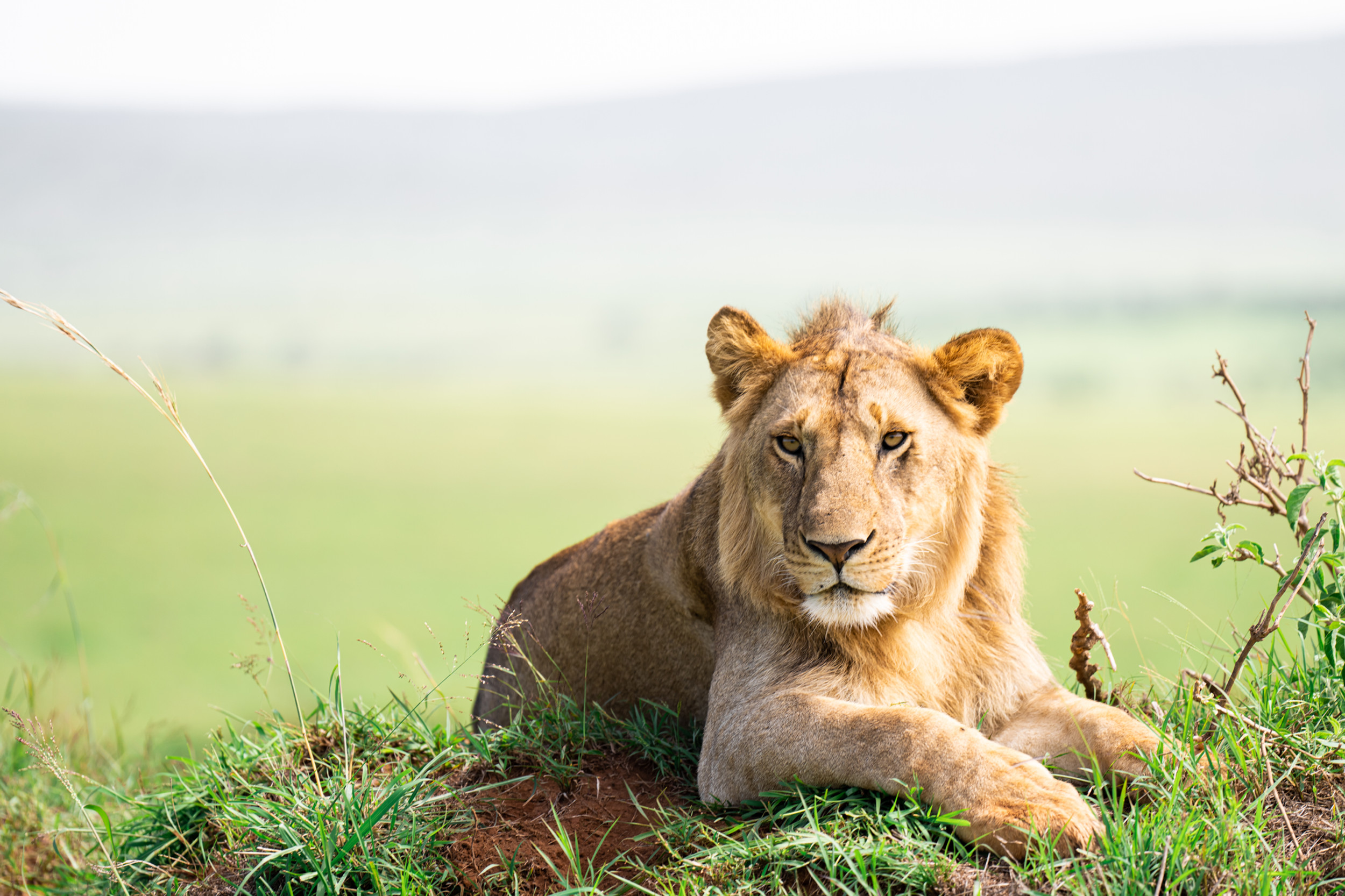 Kenya 2022 | Luke Schmidt Photo