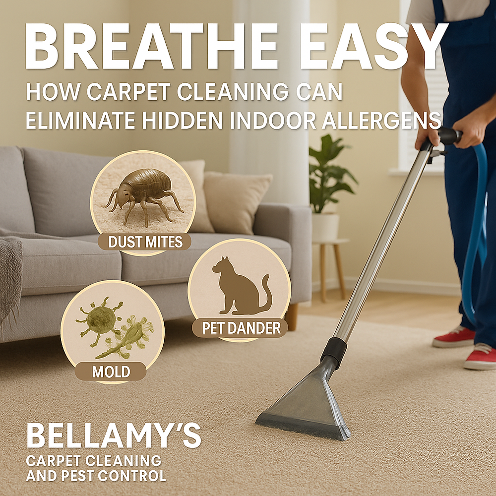 Winter Wellness: How Carpet Cleaning Eliminates Hidden Indoor Allergens ...