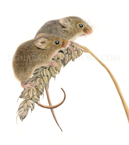 'Two's Company' Limited Edition Print | Lydia Bailey Artwork